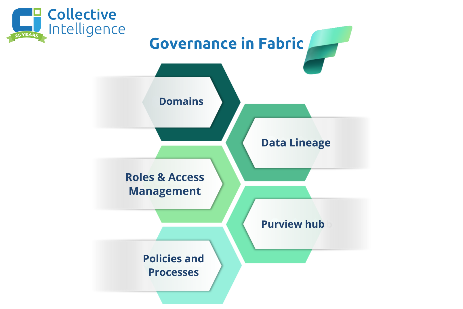 Exploring the Governance Features of Microsoft Fabric - Collective Intelligence