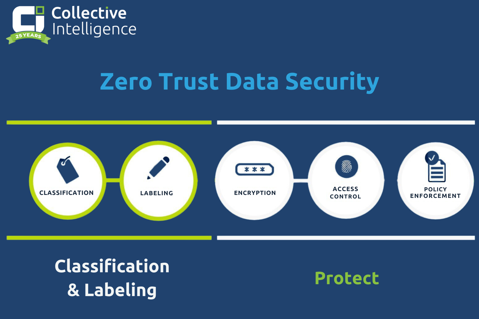 Data Security in the Zero Trust Model - Collective Intelligence