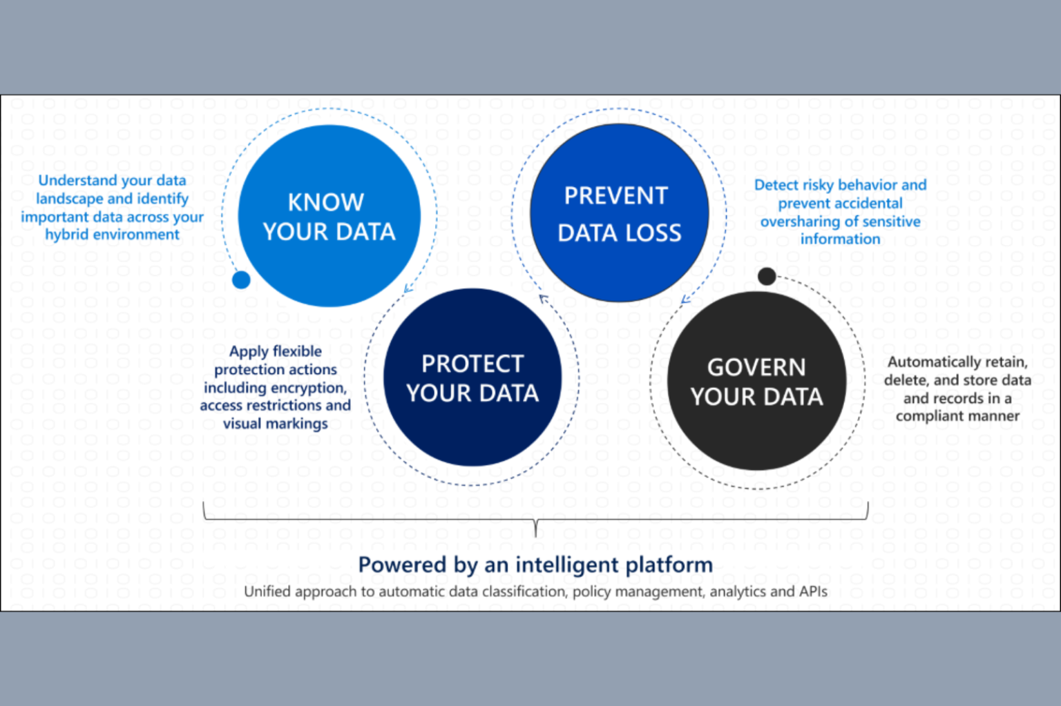 Comprehensive Guide to Microsoft Purview Data Governance - Collective ...