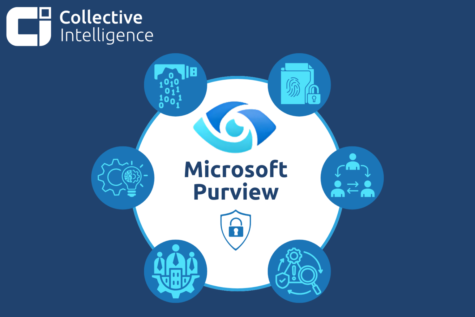 Comprehensive Guide to Microsoft Purview Data Governance - Collective ...